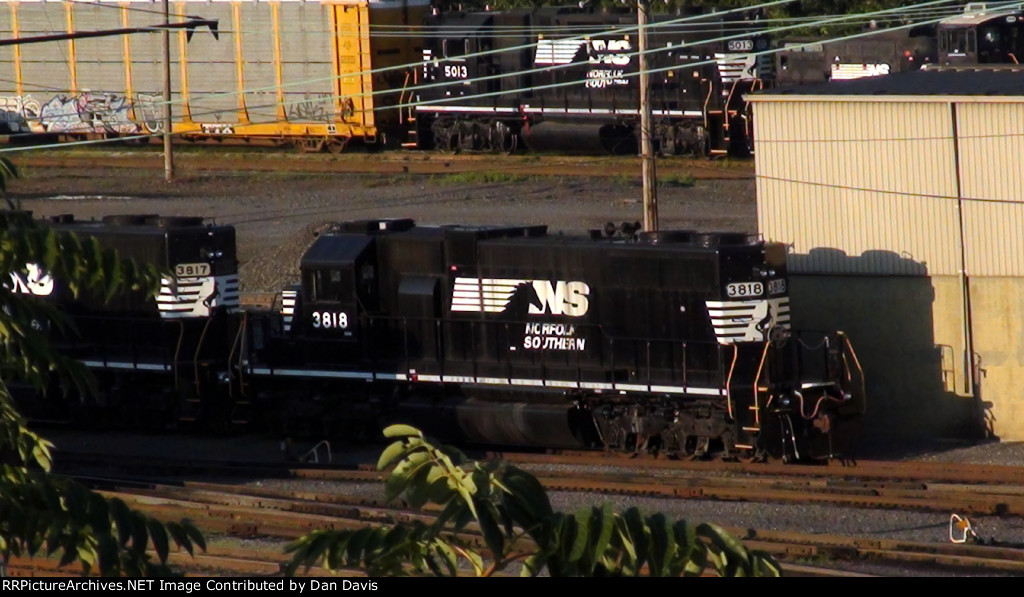 NS SD38 3818
